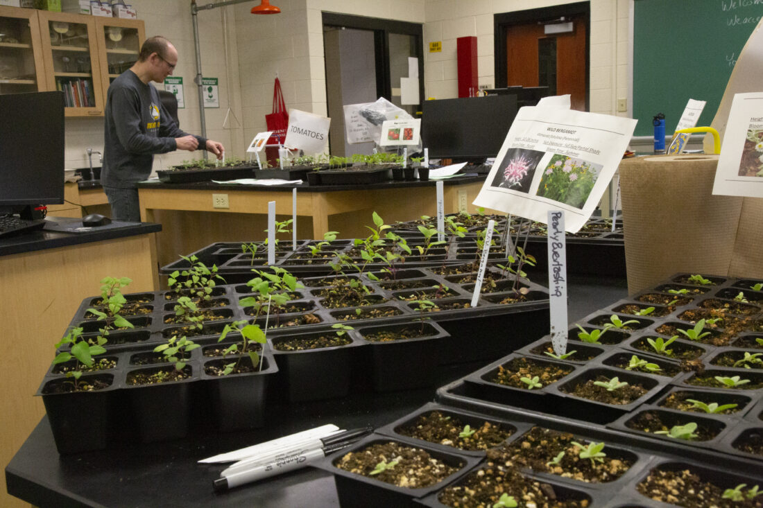 Bay College Plant Sale | News, Sports, Jobs - Daily Press